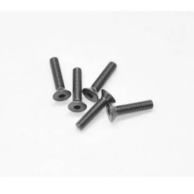 [알씨뱅크] [ARROW MAX] Alu Screw allen countersunk M3x14 Gray (7075) (5)